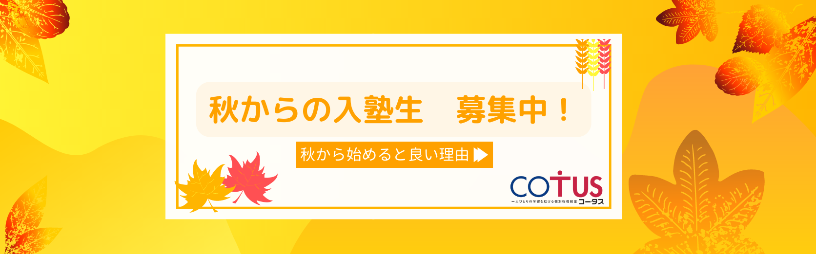 秋からの入塾生募集中 - COTUS（コータス）岐阜・各務原の個別指導塾